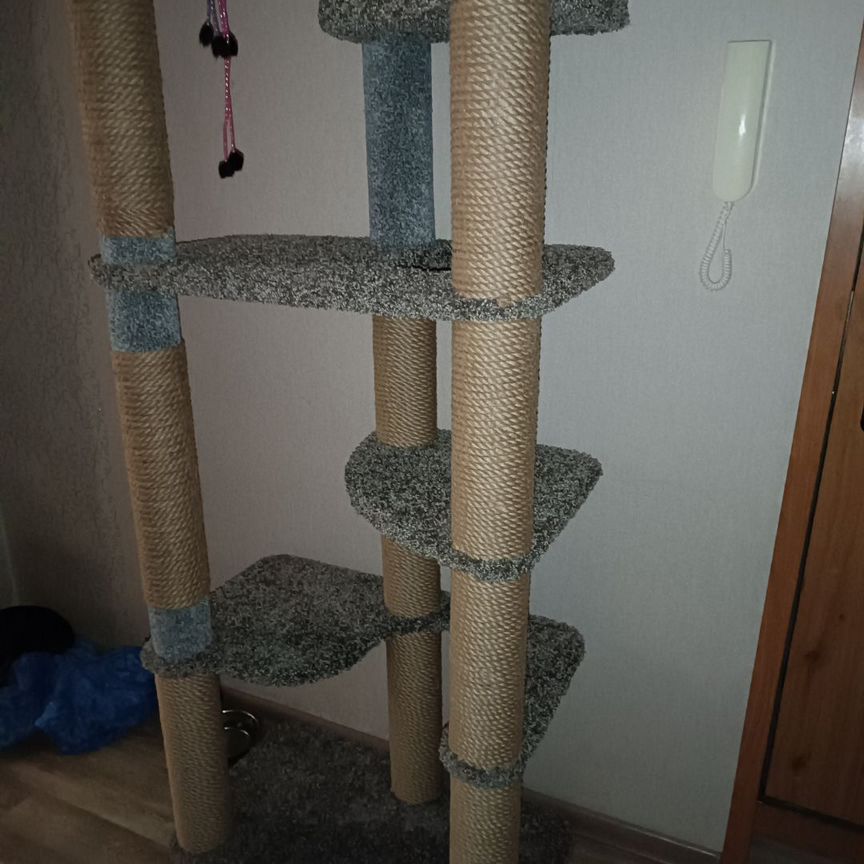 Кошачий игровой комплекс