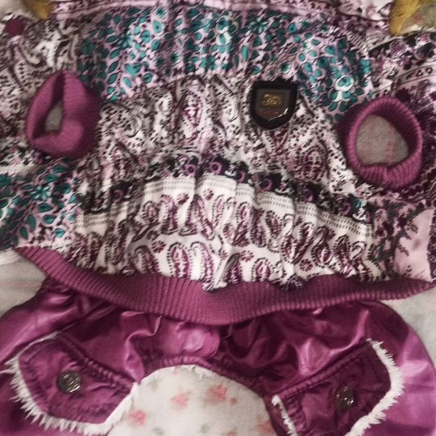 Теплый комбинезон для Йорка