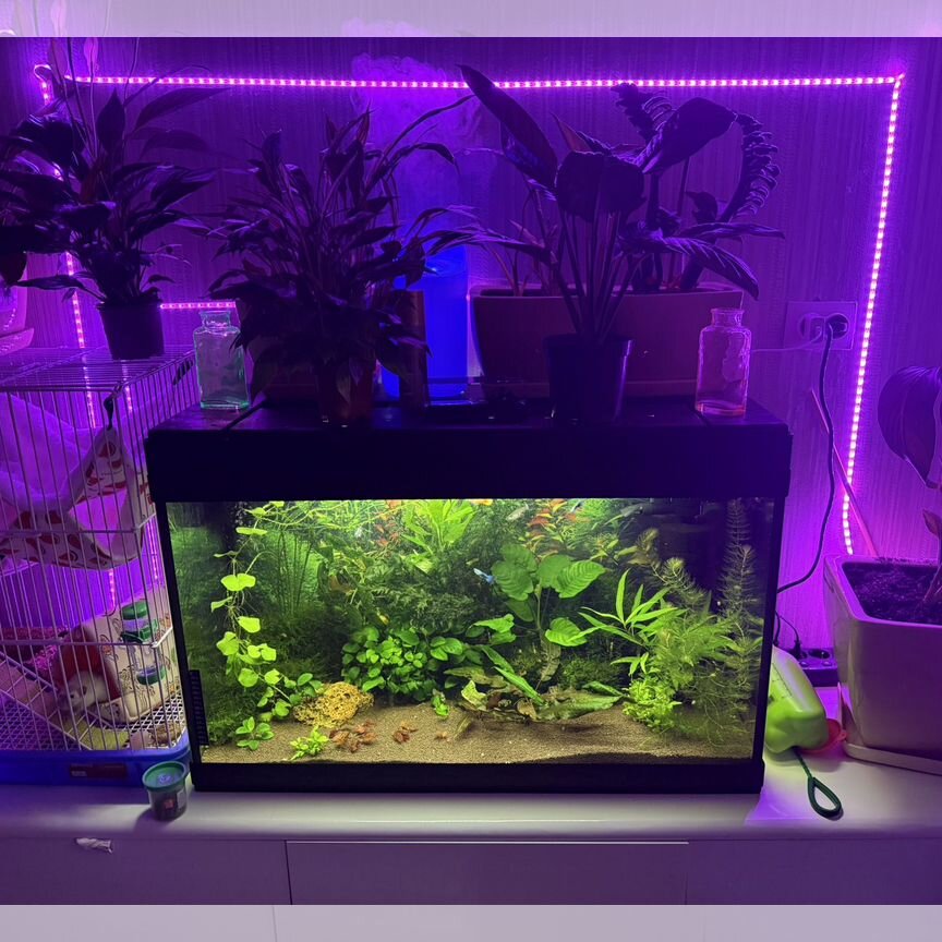 Аквариум 150 литров