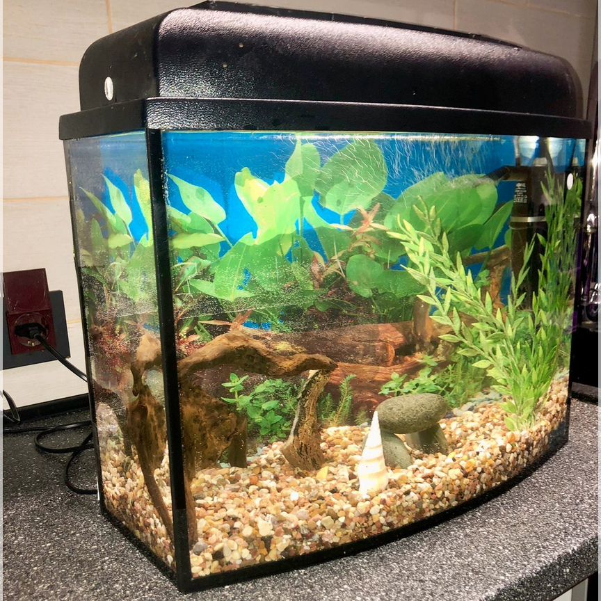 30 литров аквариум панорамный goldfish