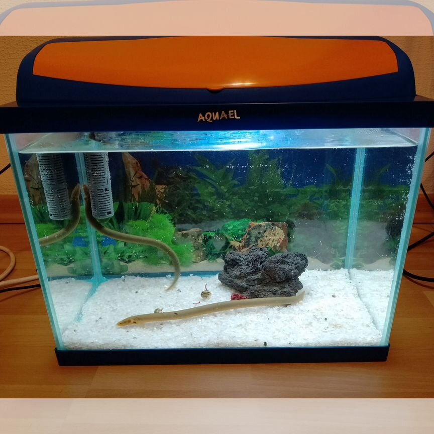 Аквариум с рыбками бу