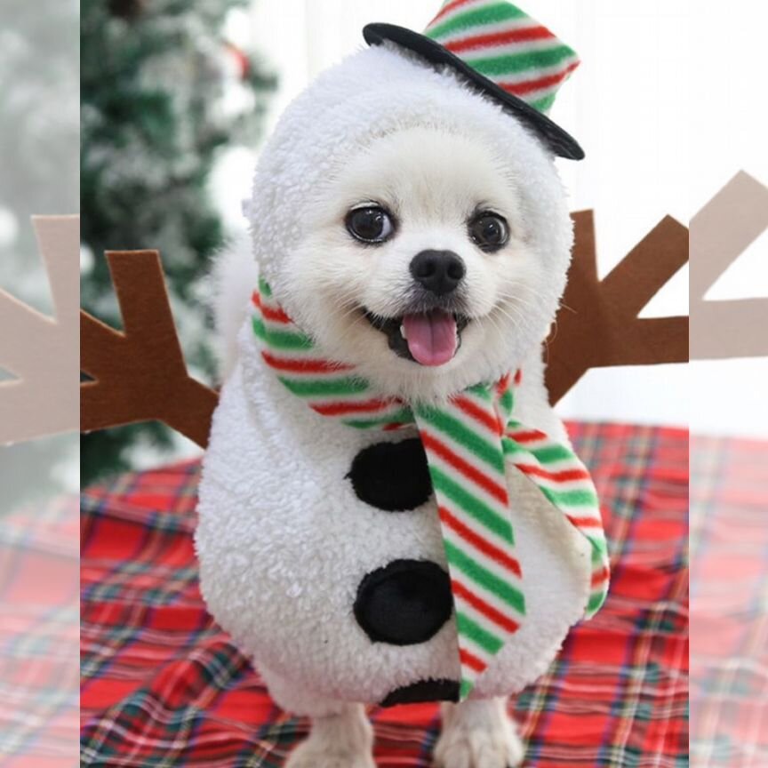Костюм новогодний для собачки