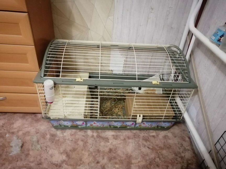 Клетка и вольер