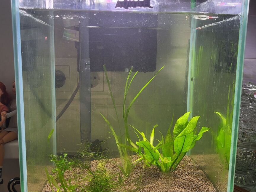 Аквариум Aquael 20