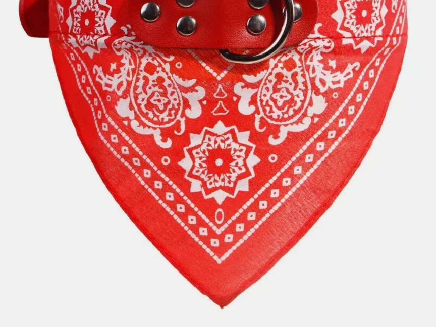 Ошейники для домашних Животных (шейный платок)