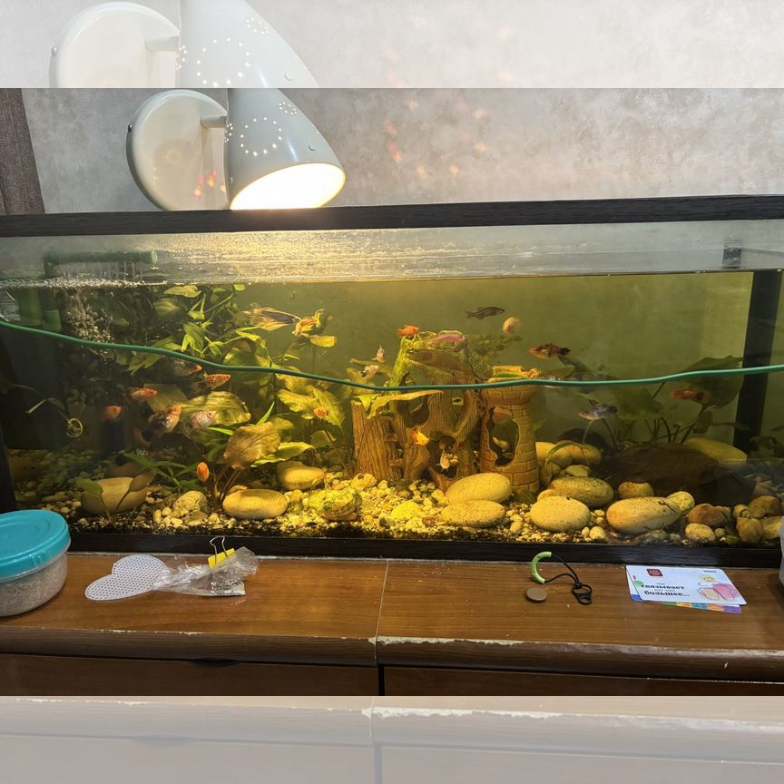 Аквариум с рыбками