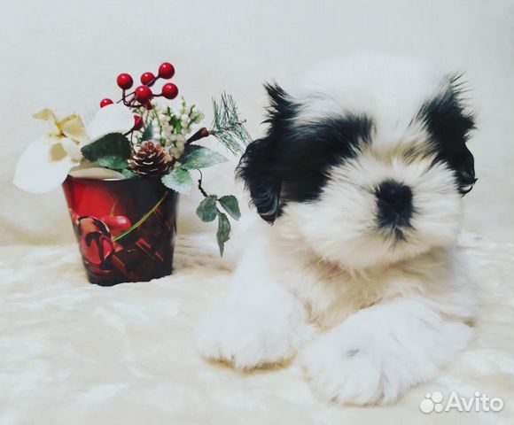 Очень красивый мальчик
