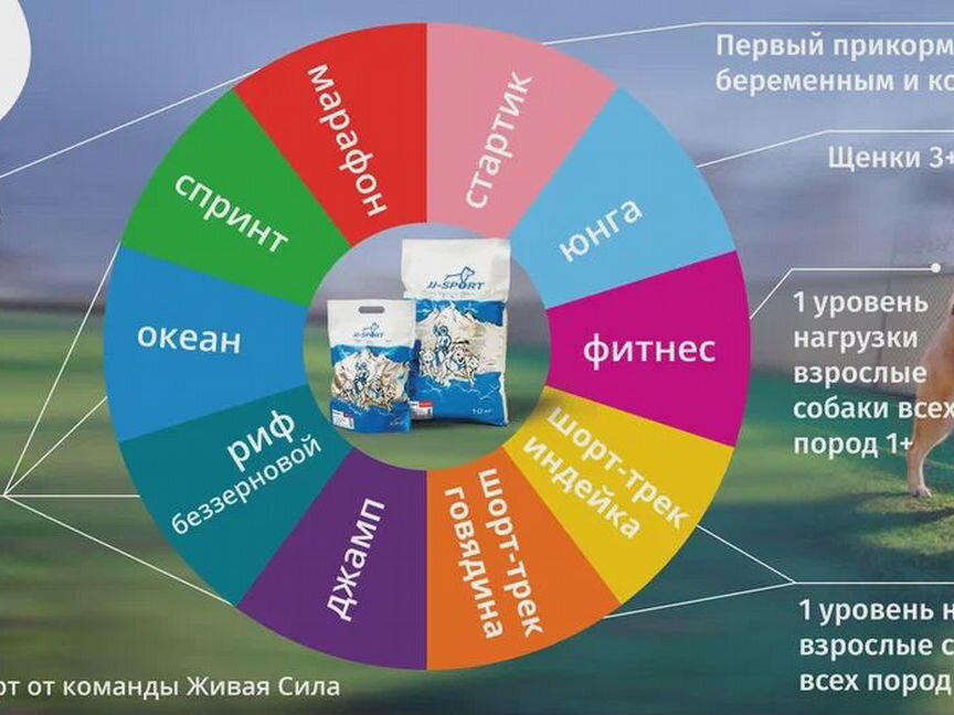 Натуральный сухой корм для собак Холистик