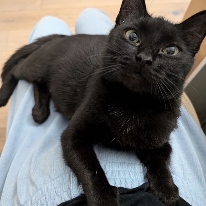 Алекса 7 месяцев