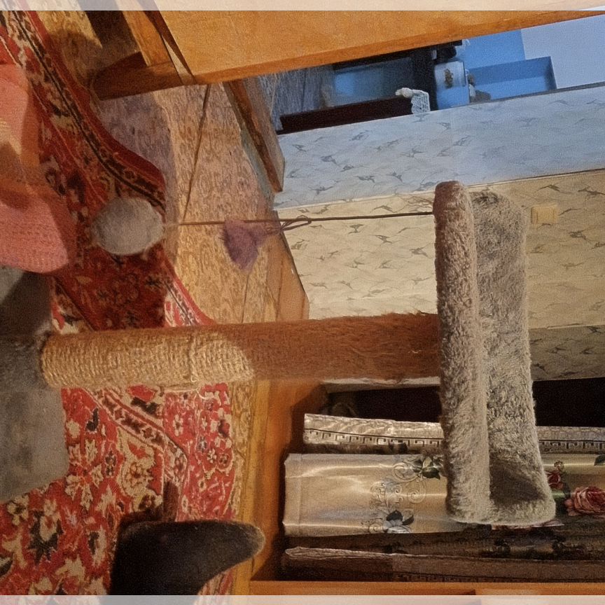 Когтеточка