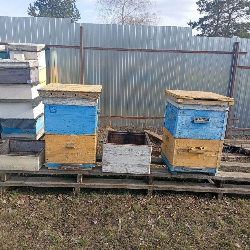 Улья дадан 12 рамочные