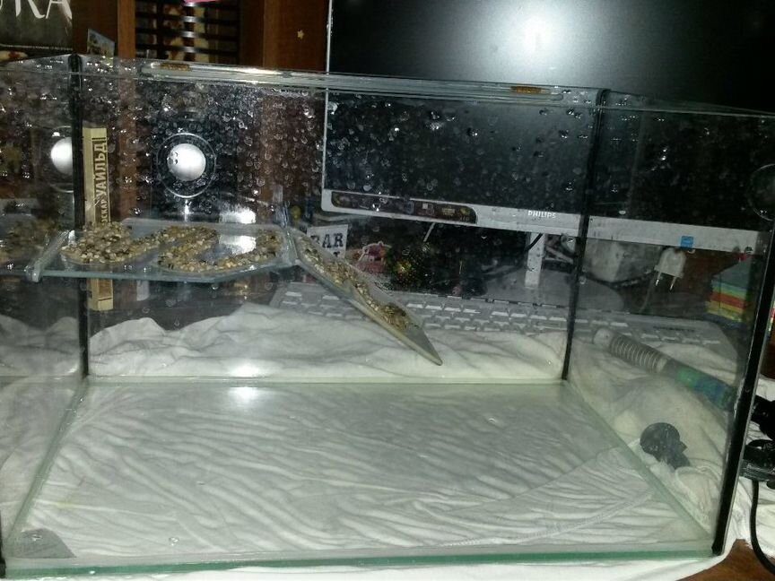 Аквариум для черепахи