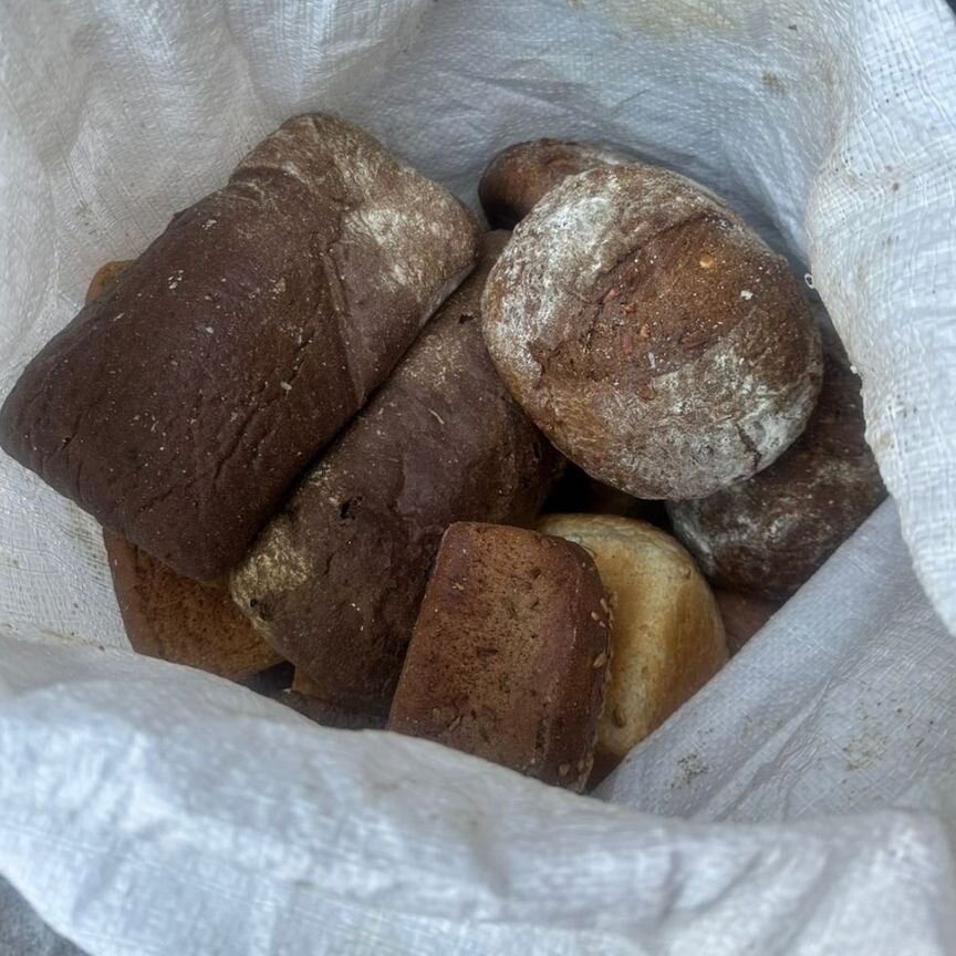 Хлеб на корм животным