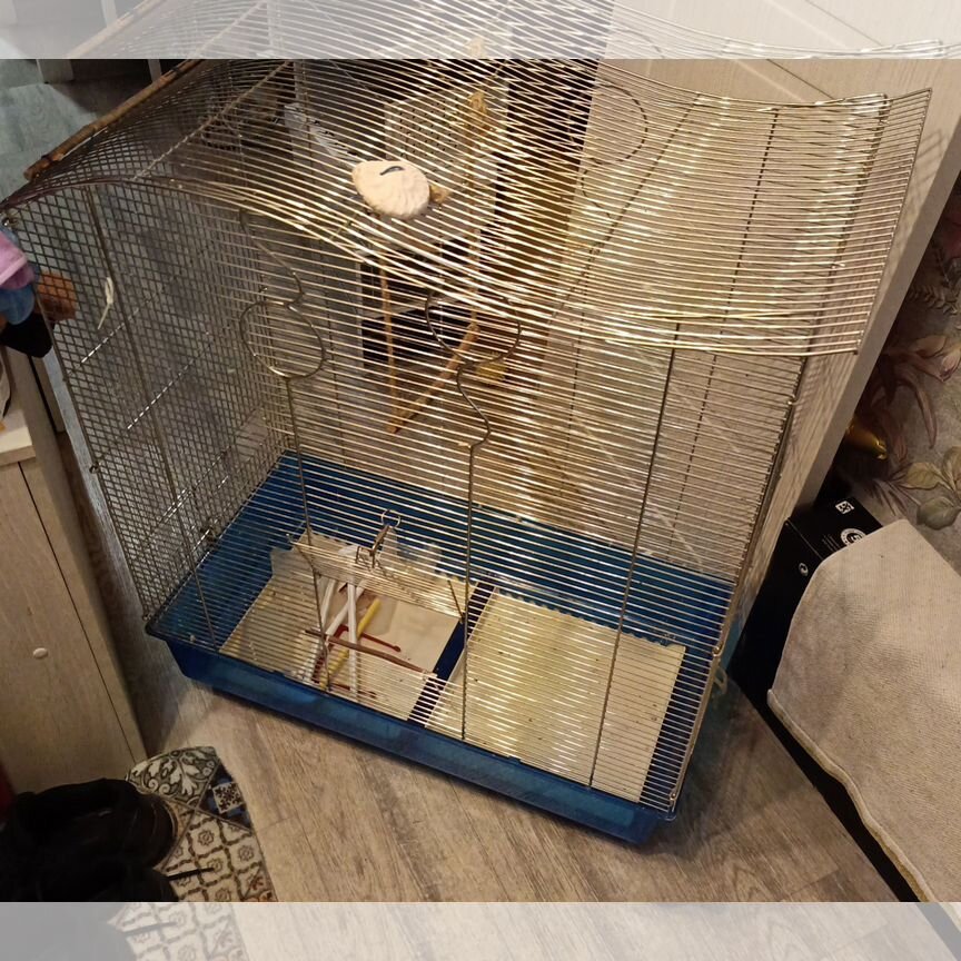 Большая клетка для птиц бу