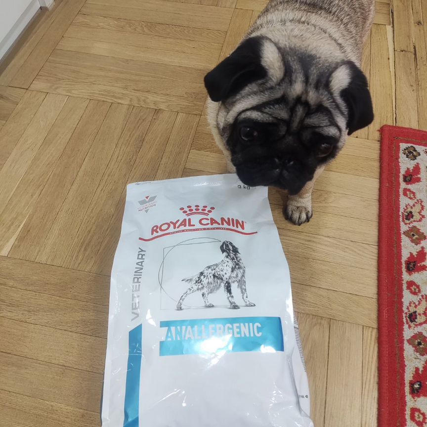 Корм Royal Canin Anallergenic 3кг