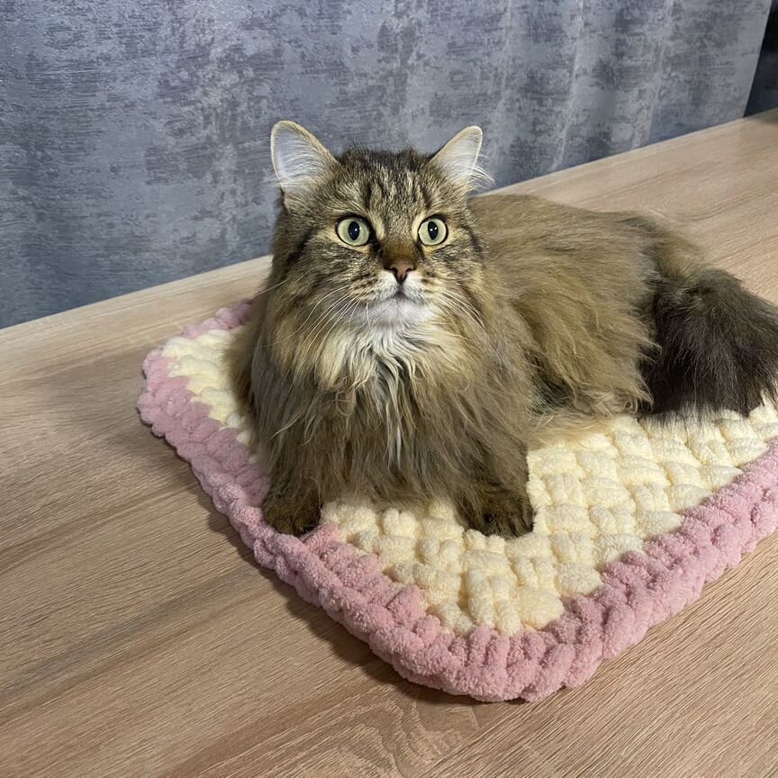 Лежанка для кошек