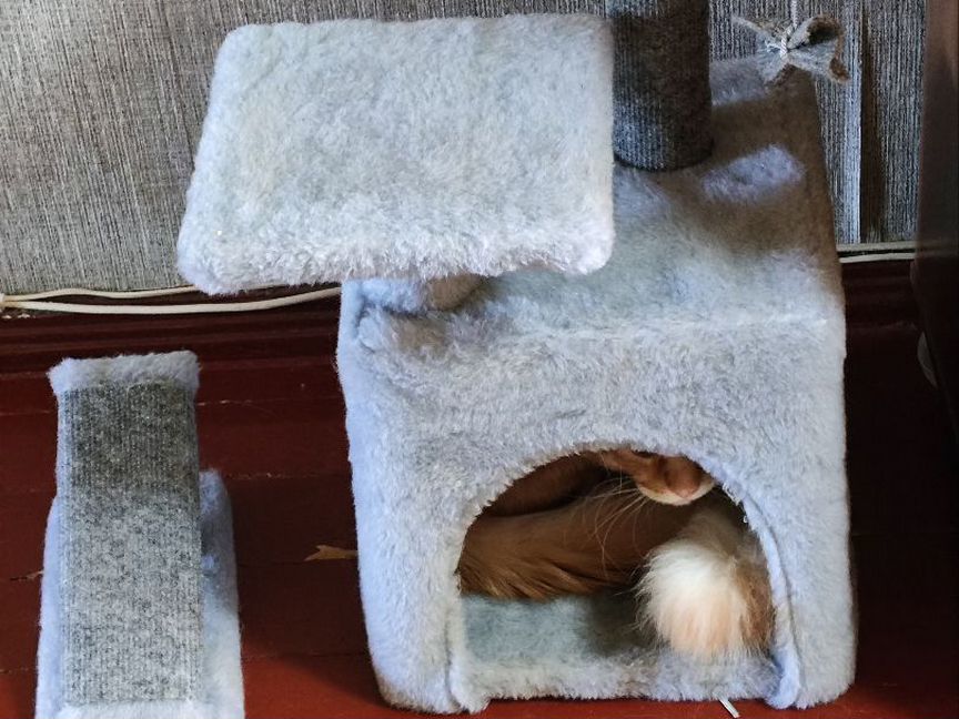 Домик для кошки