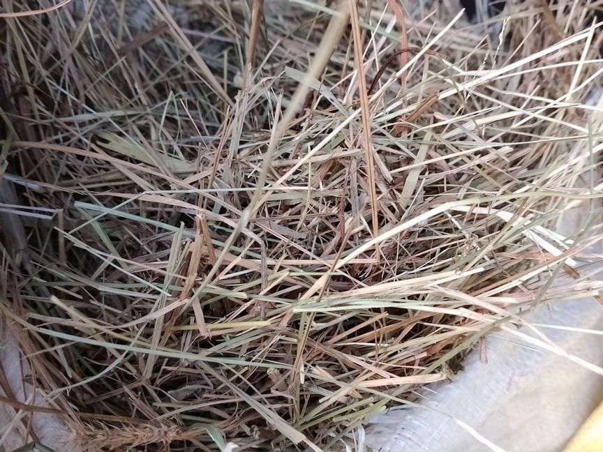 Сено в мешках