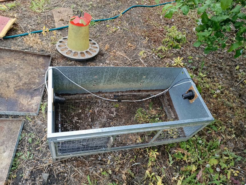 Клетка для цыплят