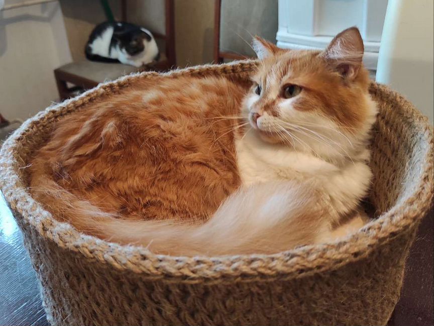 Лежанка из джута