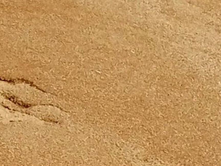 Шелуха рисовая