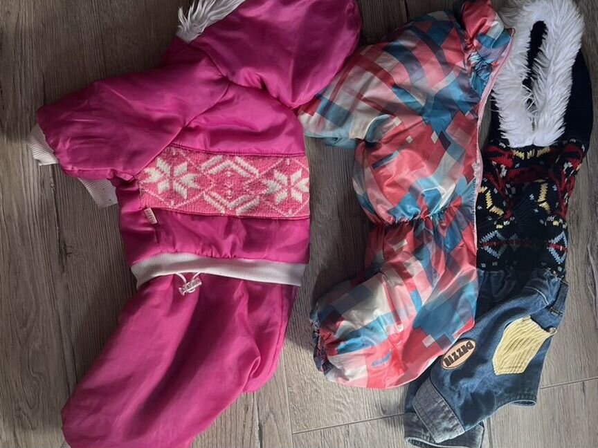 Одежда для собак мелких пород