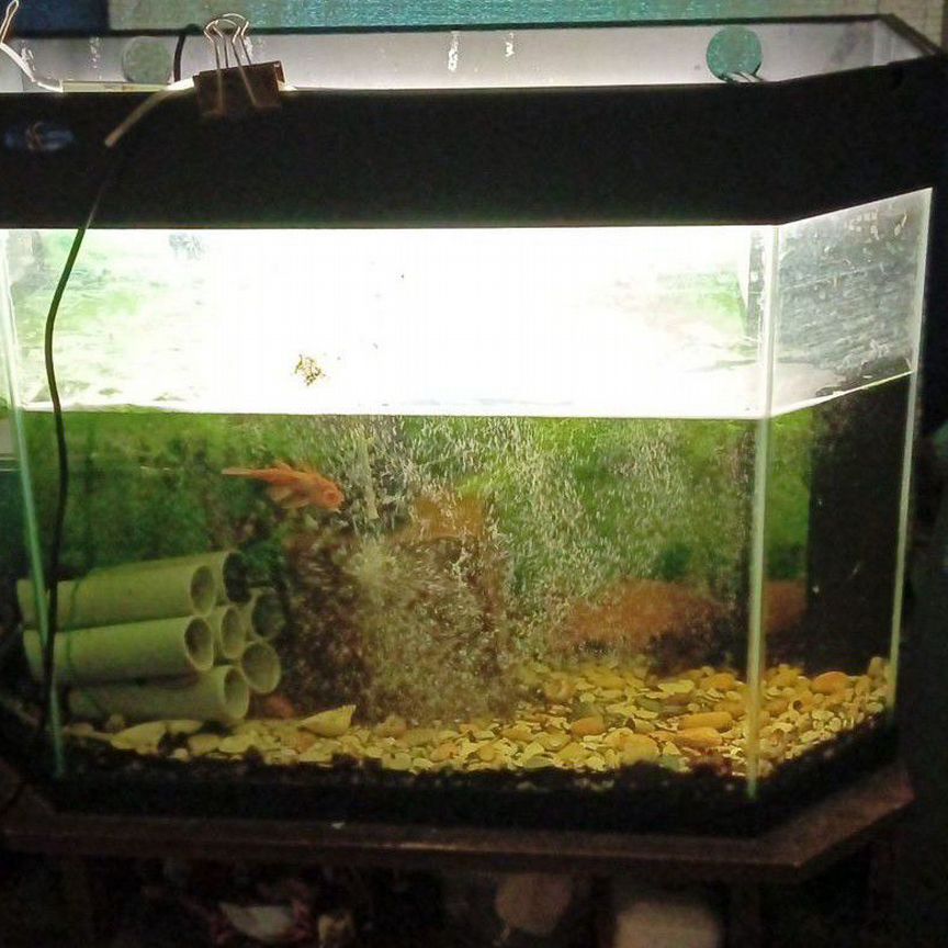 Аквариум 80 литров