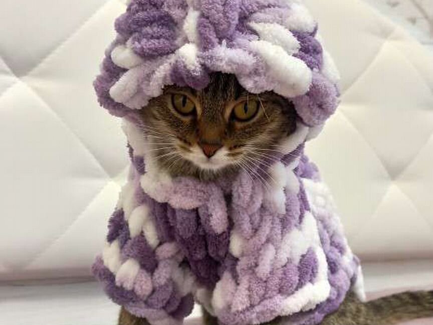Кофточка на кошек и собак