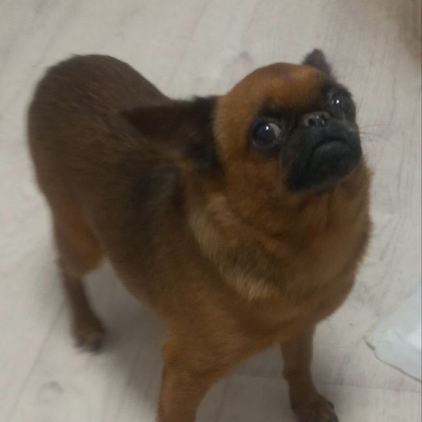 Взрослая девочка