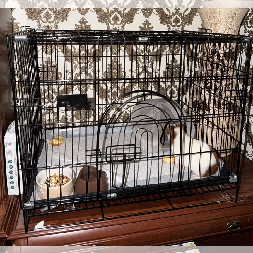 Клетка для морских свинок и кроликов