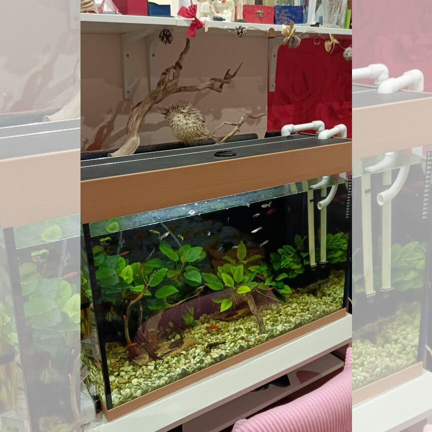 Аквариум без тумбы