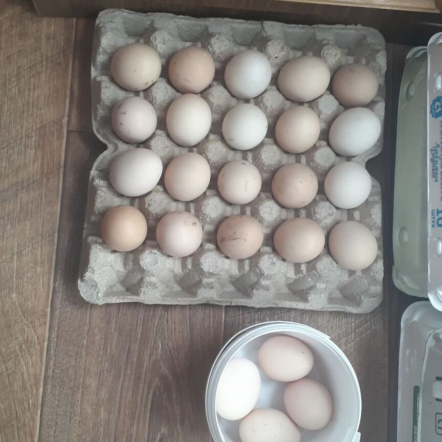 Домашние куриные яйца