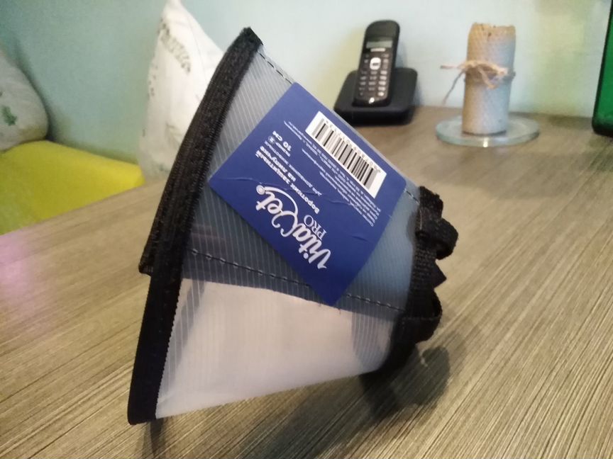 Ветеринарный воротник для кошек