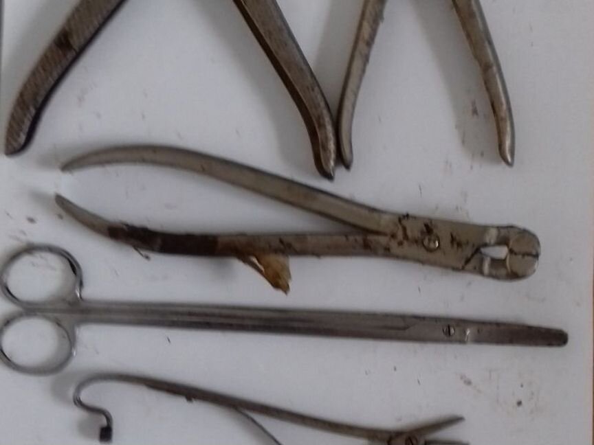 Щипцы Ветеринар/инструменты. СССР
