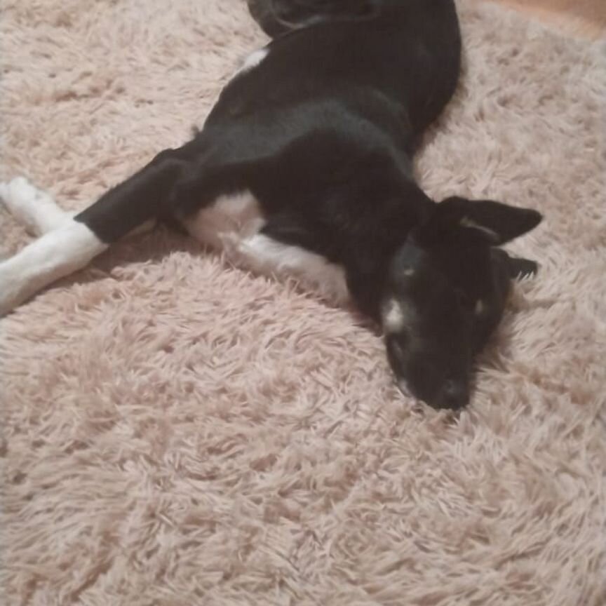 Кабель 9 мес. бесплатно