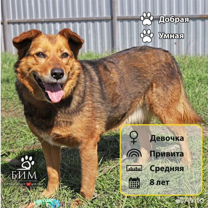 Линда ищет дом