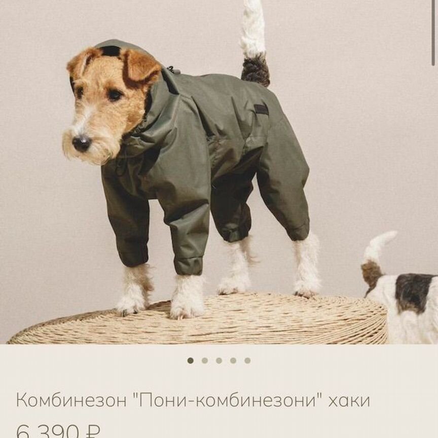 Hunting pony комбинезон для собак
