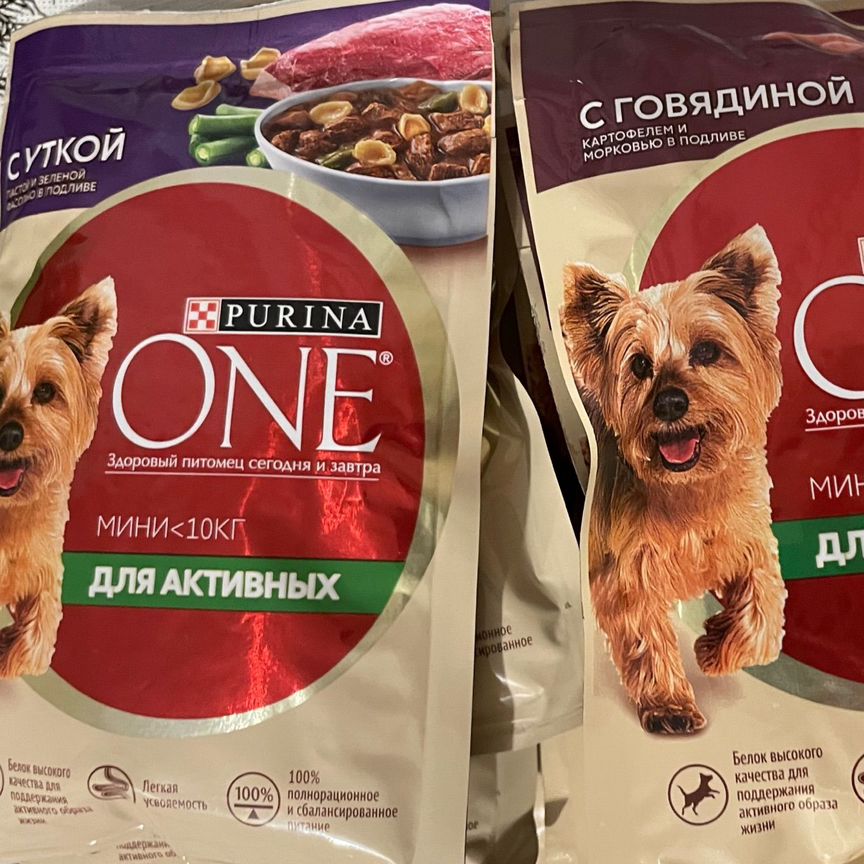 Корм для собак purina one
