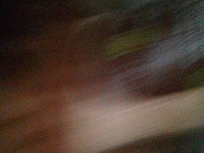 Древесный наполнитель для животных