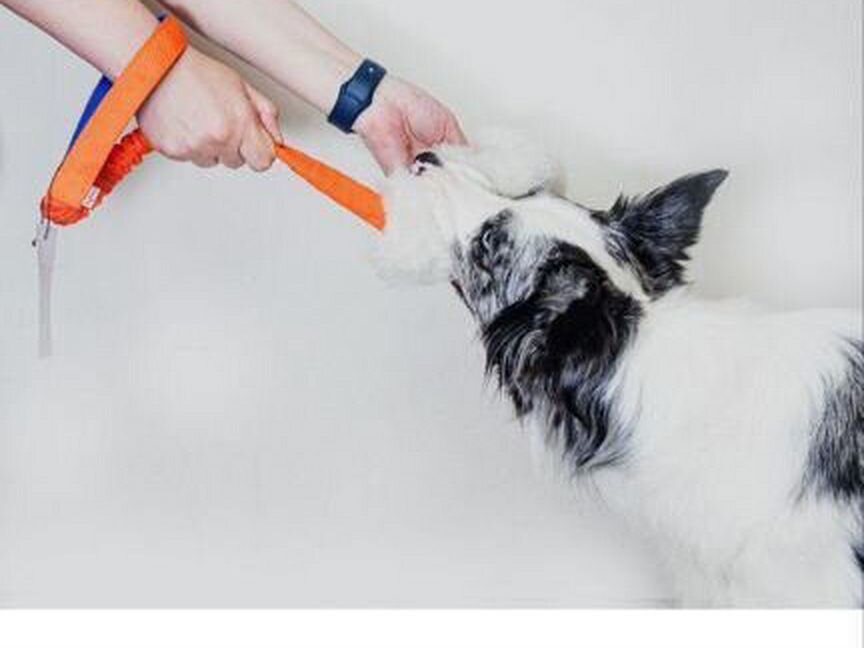 Меховая игрушка для собак