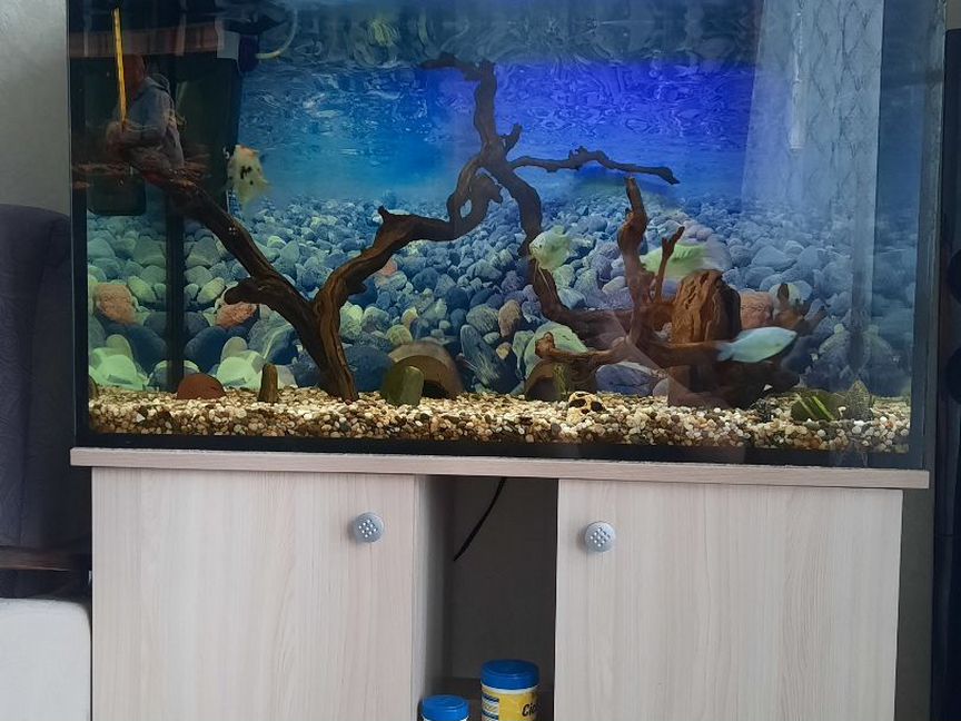 Аквариум с тумбой 160 литров