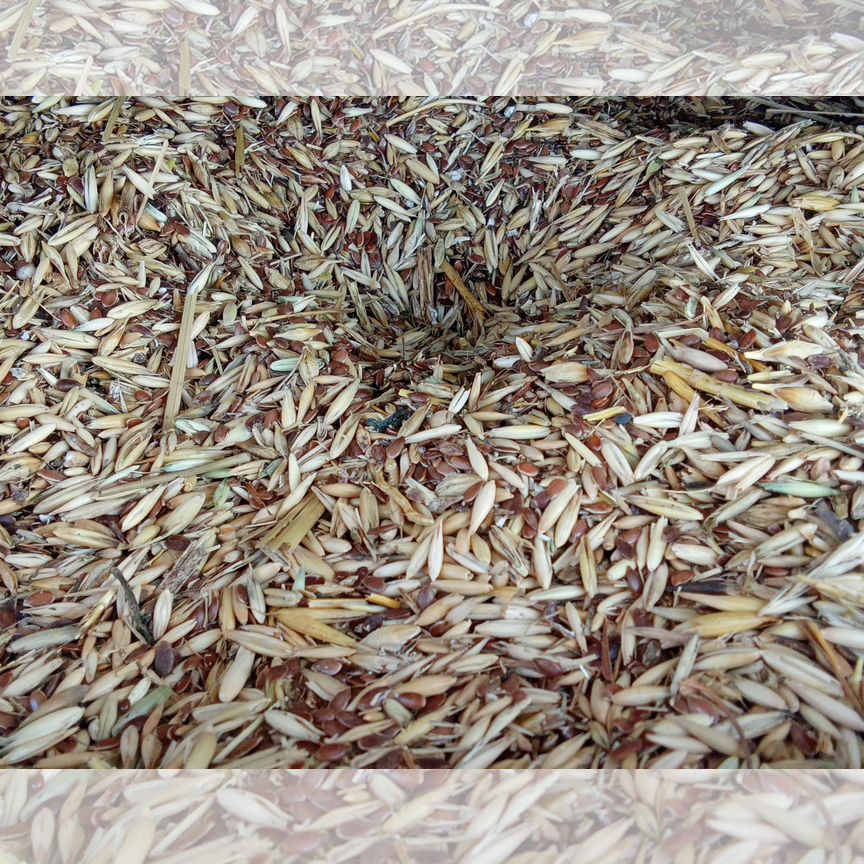 Зерносмесь