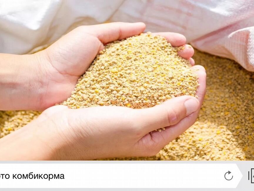 Продаю комбикорм
