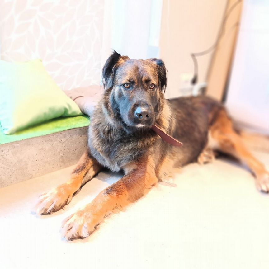 Чьё -то счастье