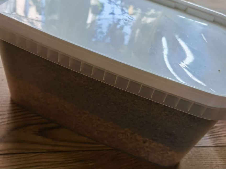 Гаммарус, дафния