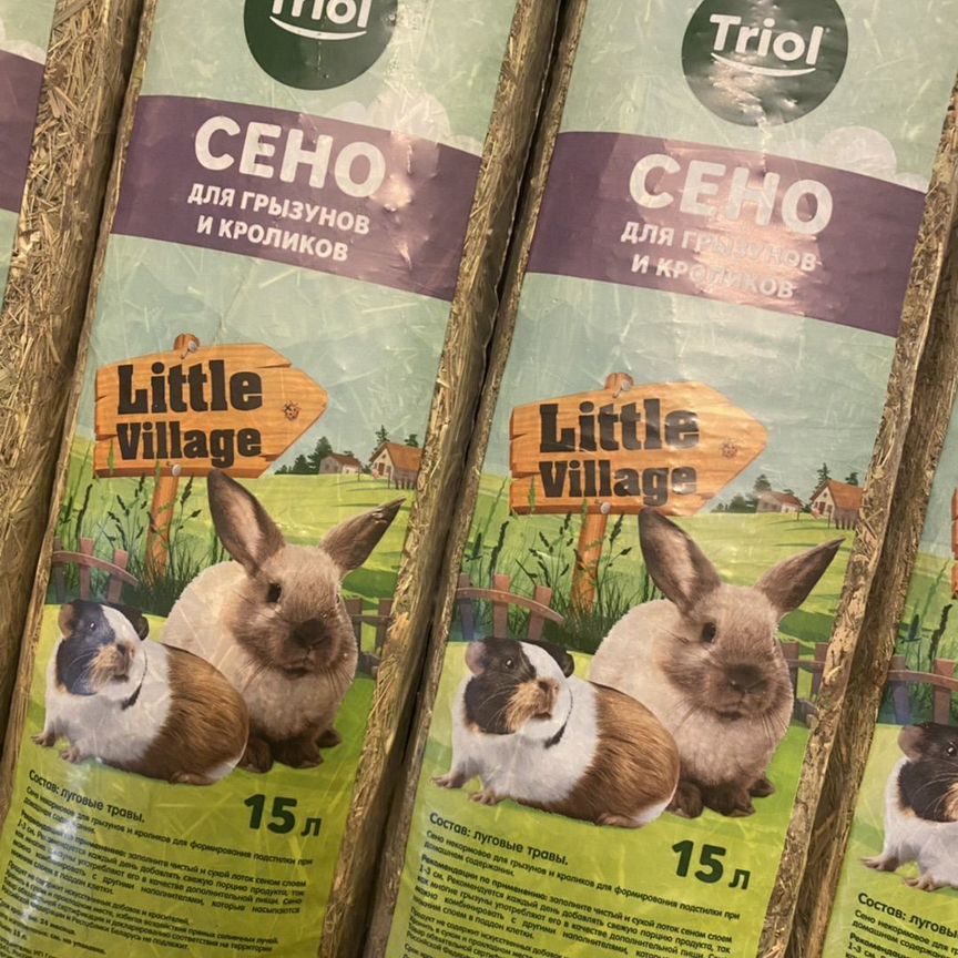 Сено для морских свинок