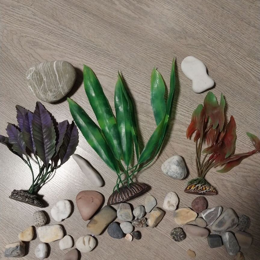 Водоросли и грунт для аквариума