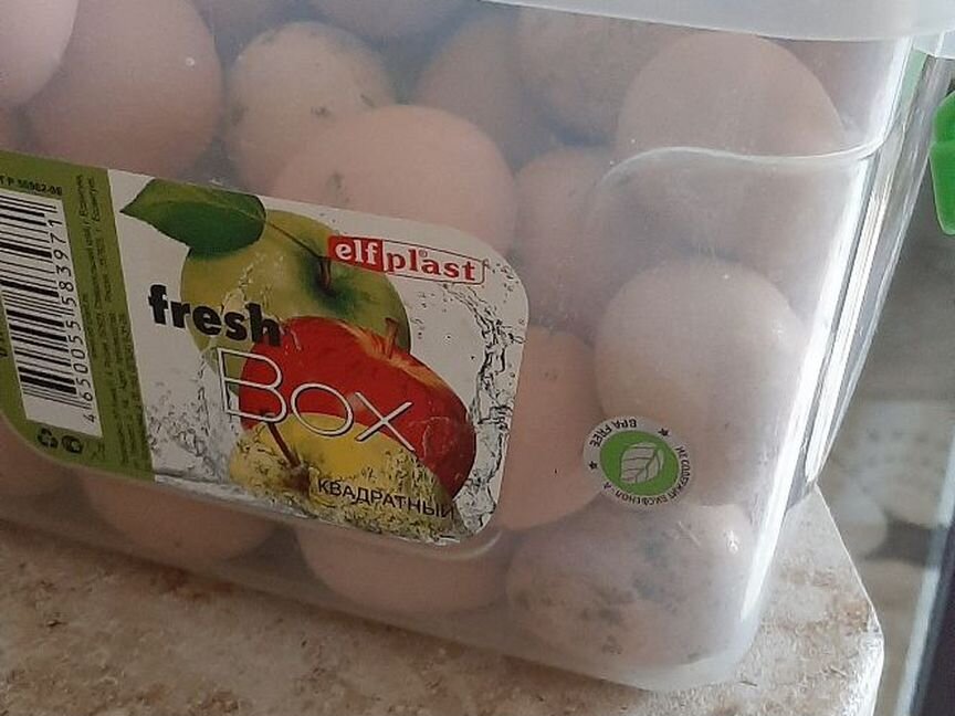 Инкубационное яйцо цесарки