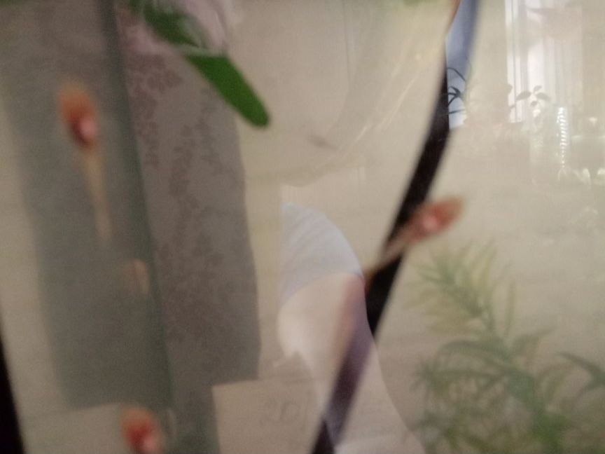 Светлые сомики