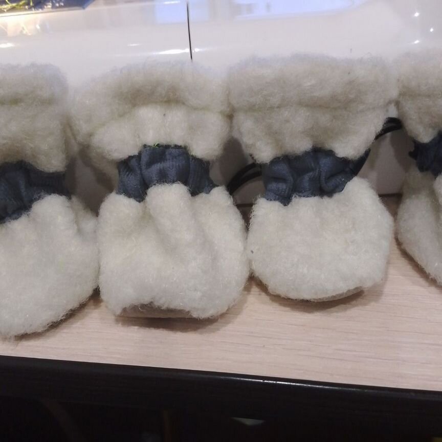 Обувь для собак разных пород